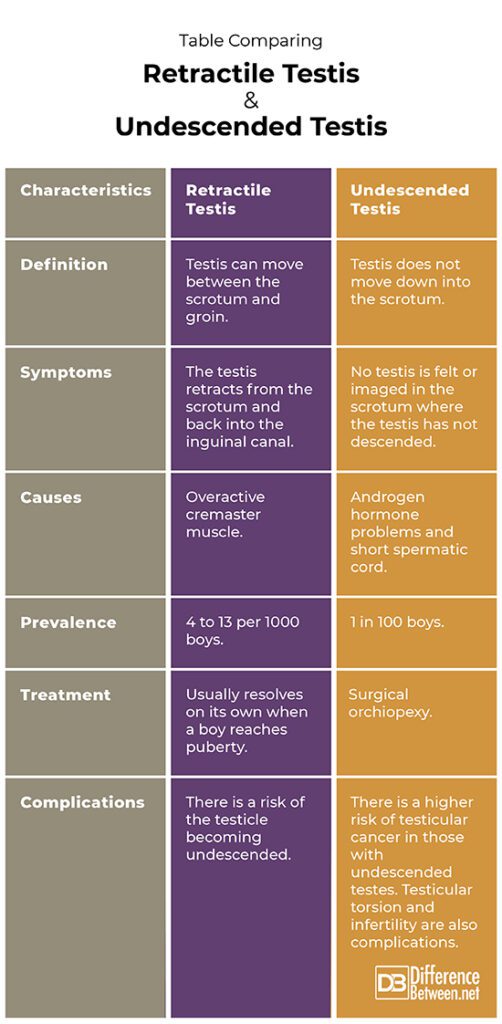 Difference Between Retractile Testis and Undescended Testis ...