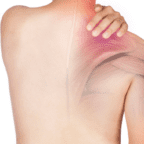 Difference Between | Tag archive for Fasciculations | Fasciculations