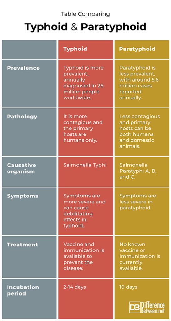 Difference Between Typhoid and Paratyphoid | Difference Between ...