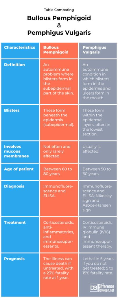 Difference Between Bullous Pemphigoid and Pemphigus Vulgaris ...