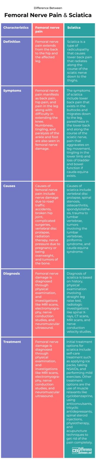 Difference Between Femoral Nerve Pain and Sciatica | Difference Between | Femoral Nerve Pain vs ...