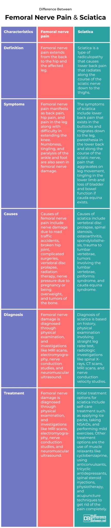 Difference Between Femoral Nerve Pain and Sciatica | Difference Between | Femoral Nerve Pain vs ...