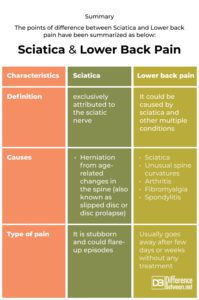 Difference Between Sciatica and Lower Back Pain | Difference Between