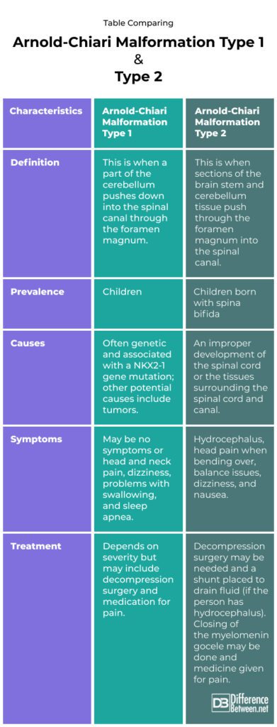Difference Between Arnold-Chiari Malformation Type 1 and Type 2 | Difference Between