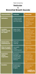 Difference Between Vesicular and Bronchial Breath Sounds | Difference ...