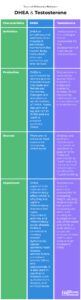 Difference Between DHEA and Testosterone | Difference Between | DHEA vs ...