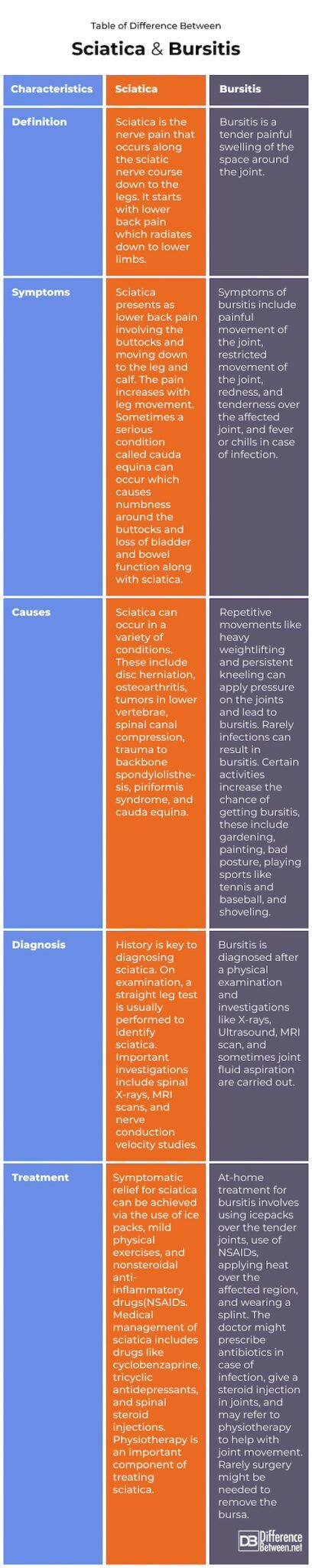 Difference Between Sciatica and Bursitis | Difference Between ...