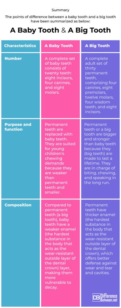 Difference Between Big Tooth and Baby Tooth | Difference Between | Big ...
