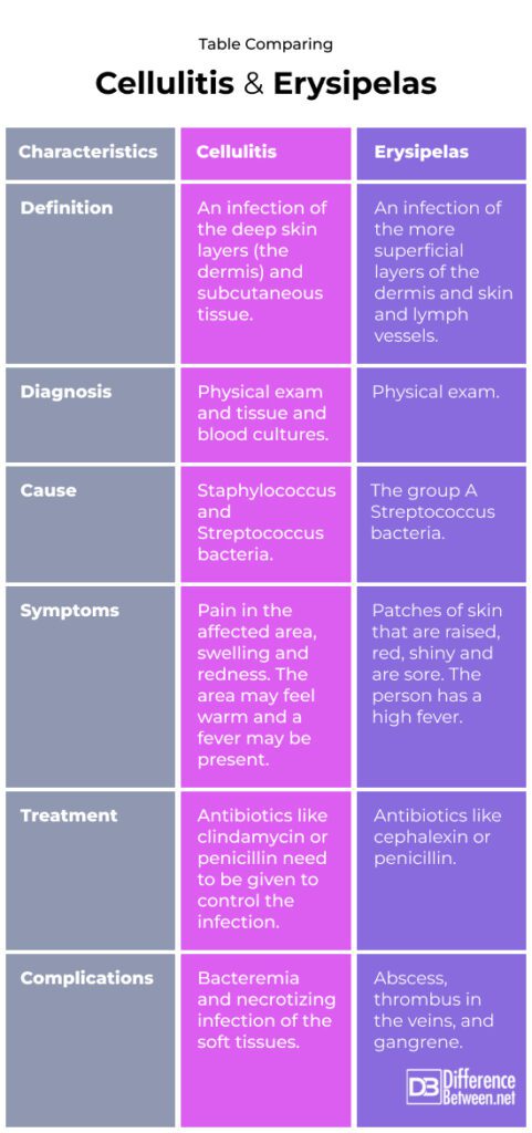 Difference Between Cellulitis and Erysipelas | Difference Between ...