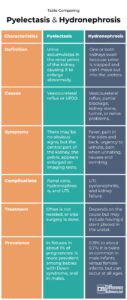 Difference Between Pyelectasis and Hydronephrosis | Difference Between ...