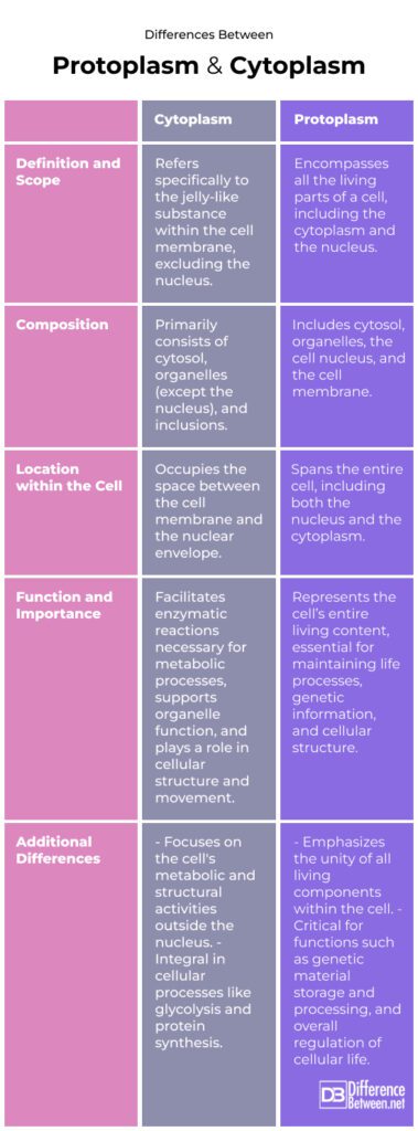 Difference Between Cytoplasm and Protoplasm | Difference Between